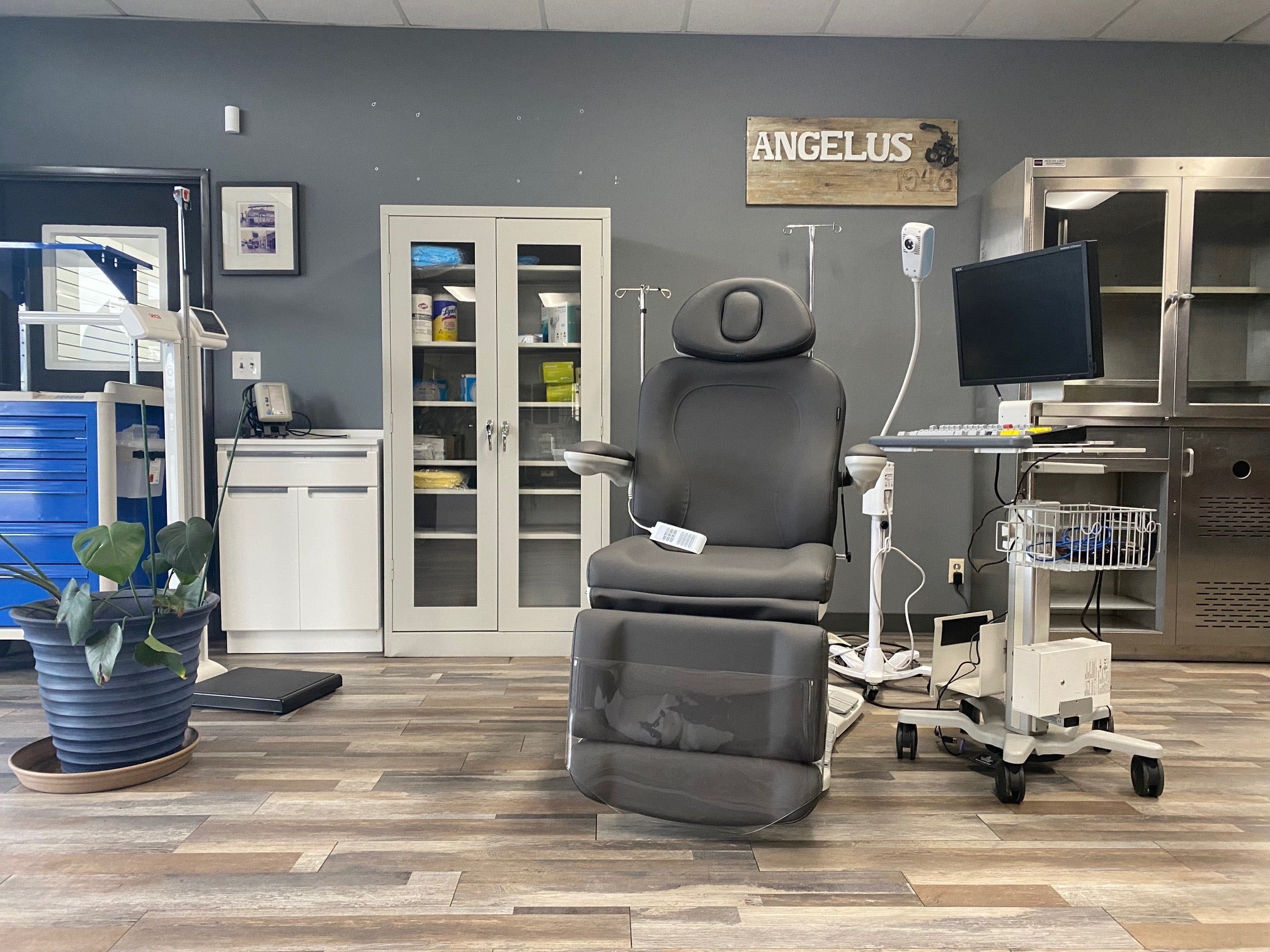 Exam Room Furniture:Exam Table,Mayo Stand,Diagnostic set – Angelus ...
