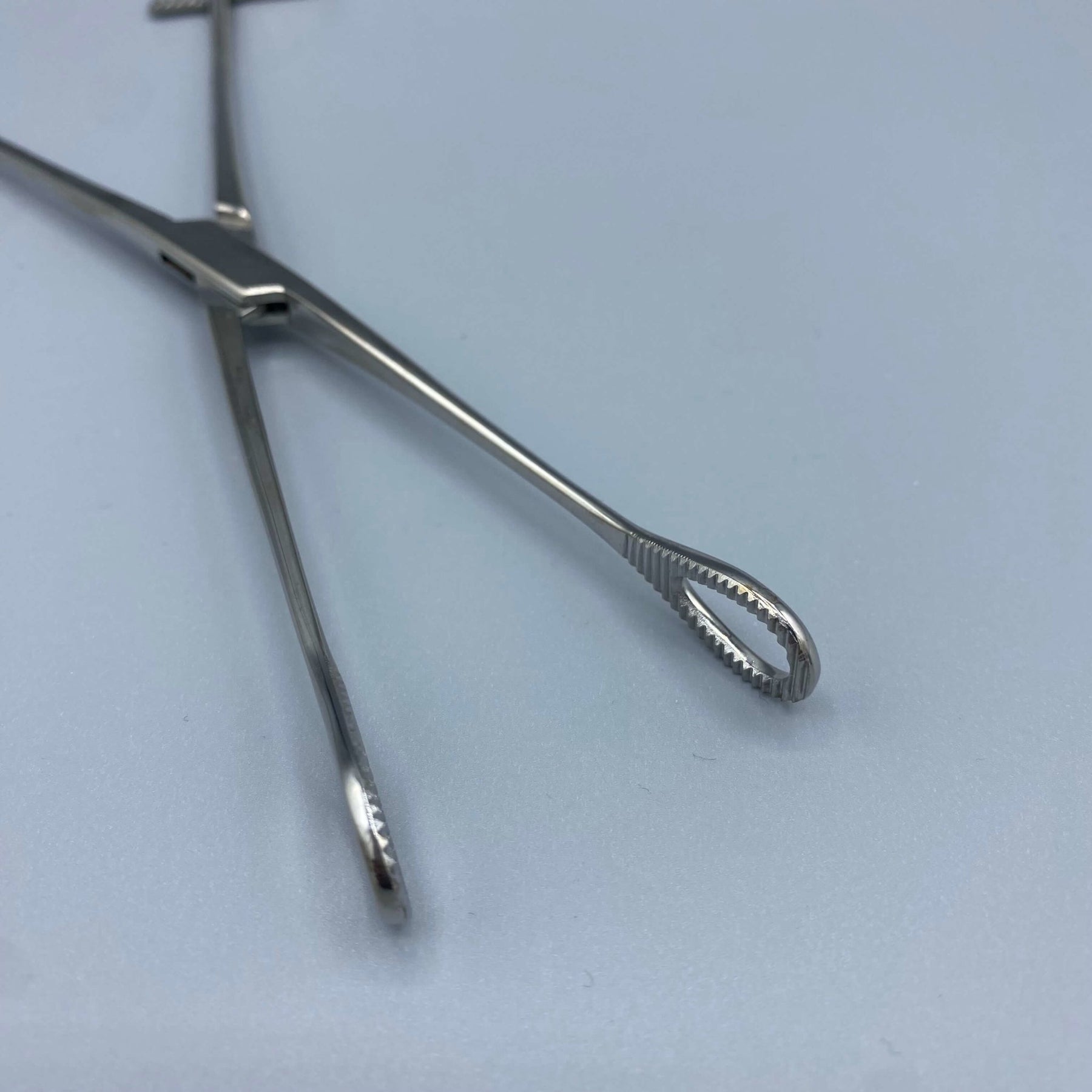 Miltex Sponge Forceps Straight Serrated