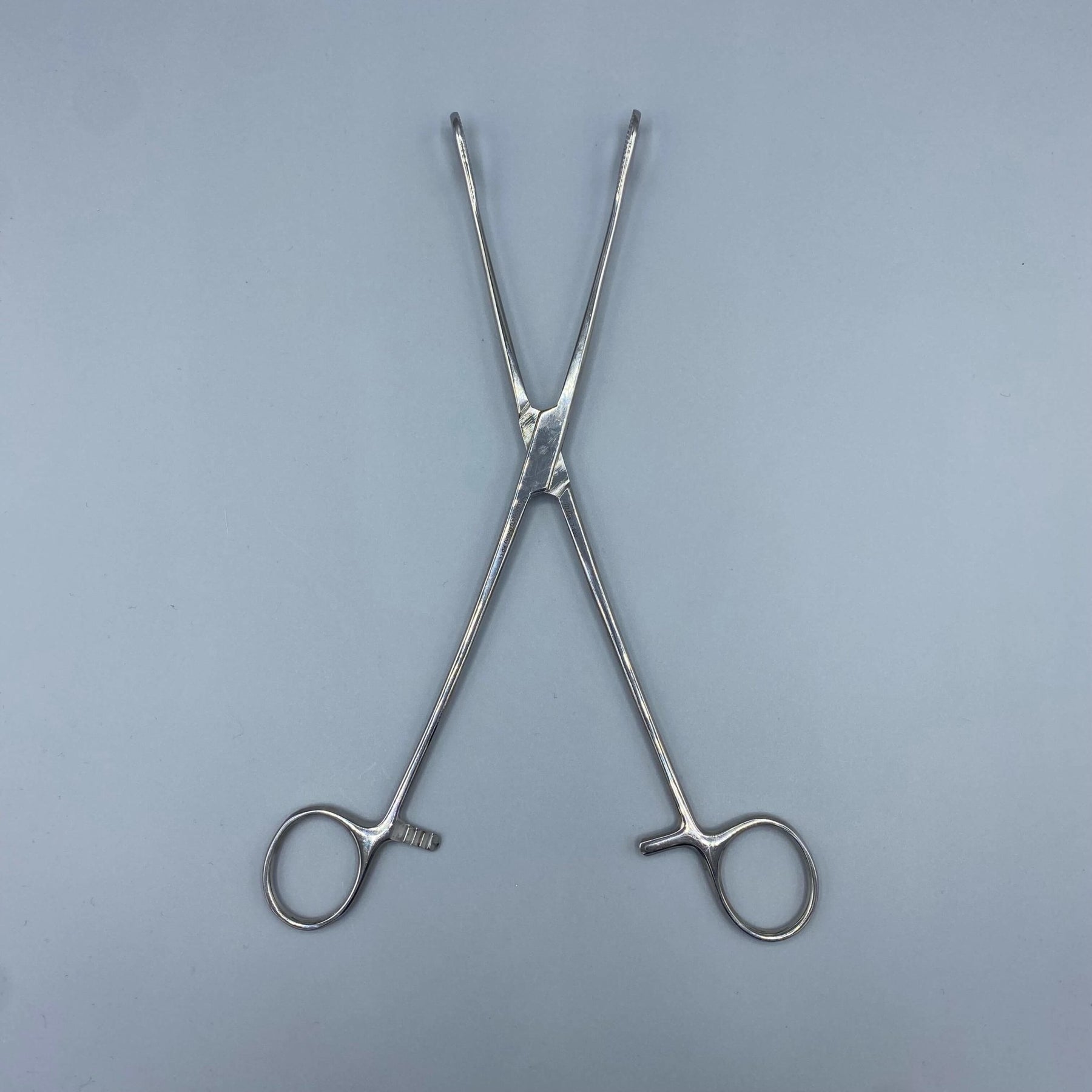 Miltex Sponge Forceps Straight Serrated